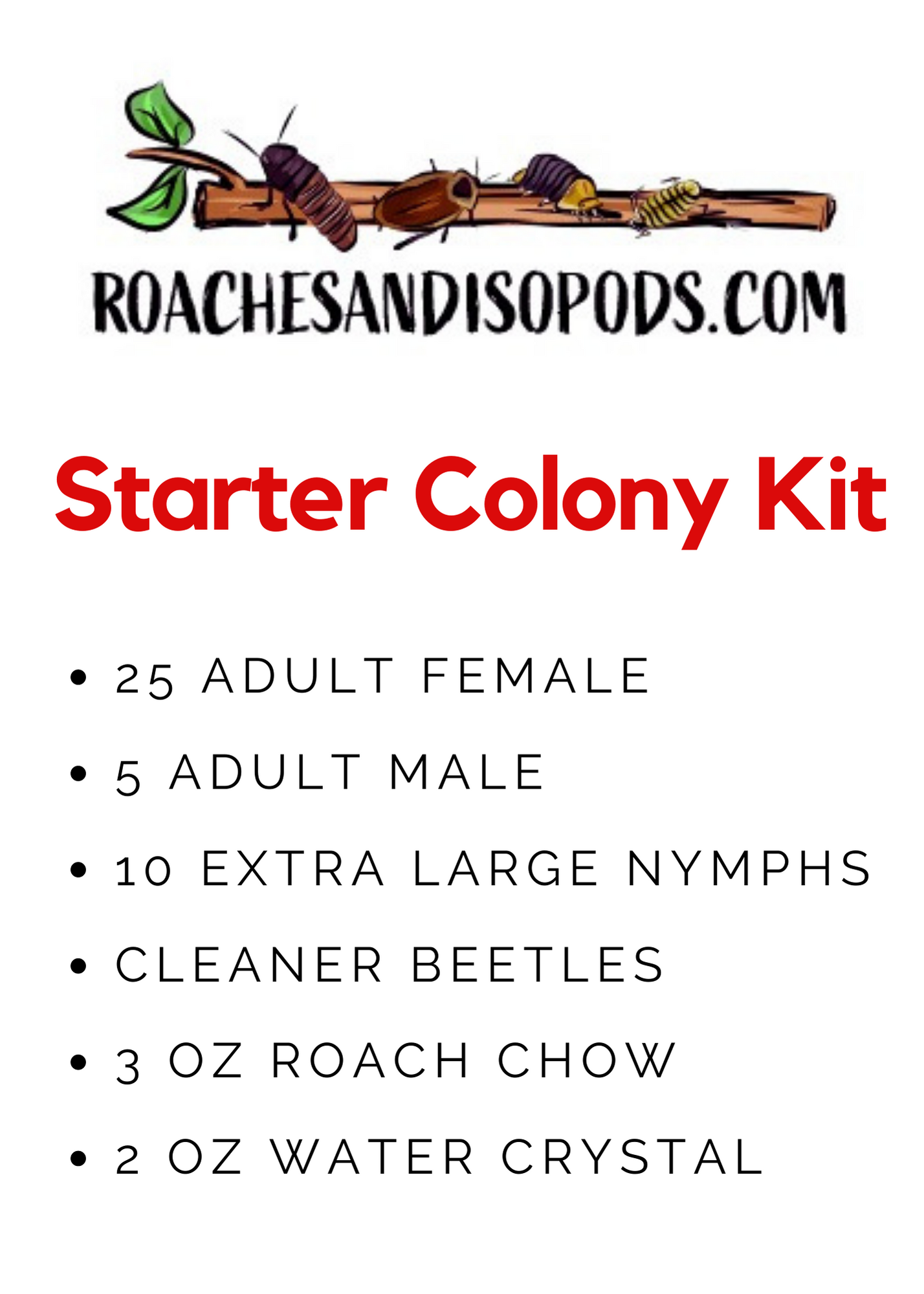Dubia Roach Colony Starter Kit – ROACHESANDISOPODS.COM